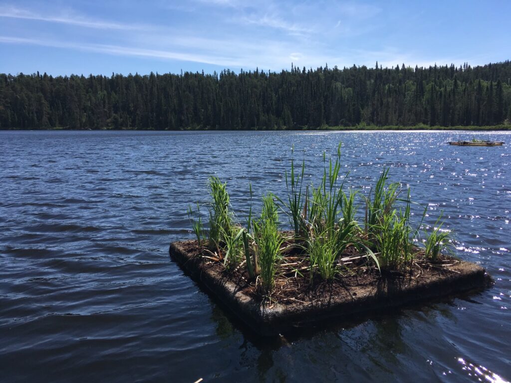Floating Treatment Wetlands - Integrated Water Systems